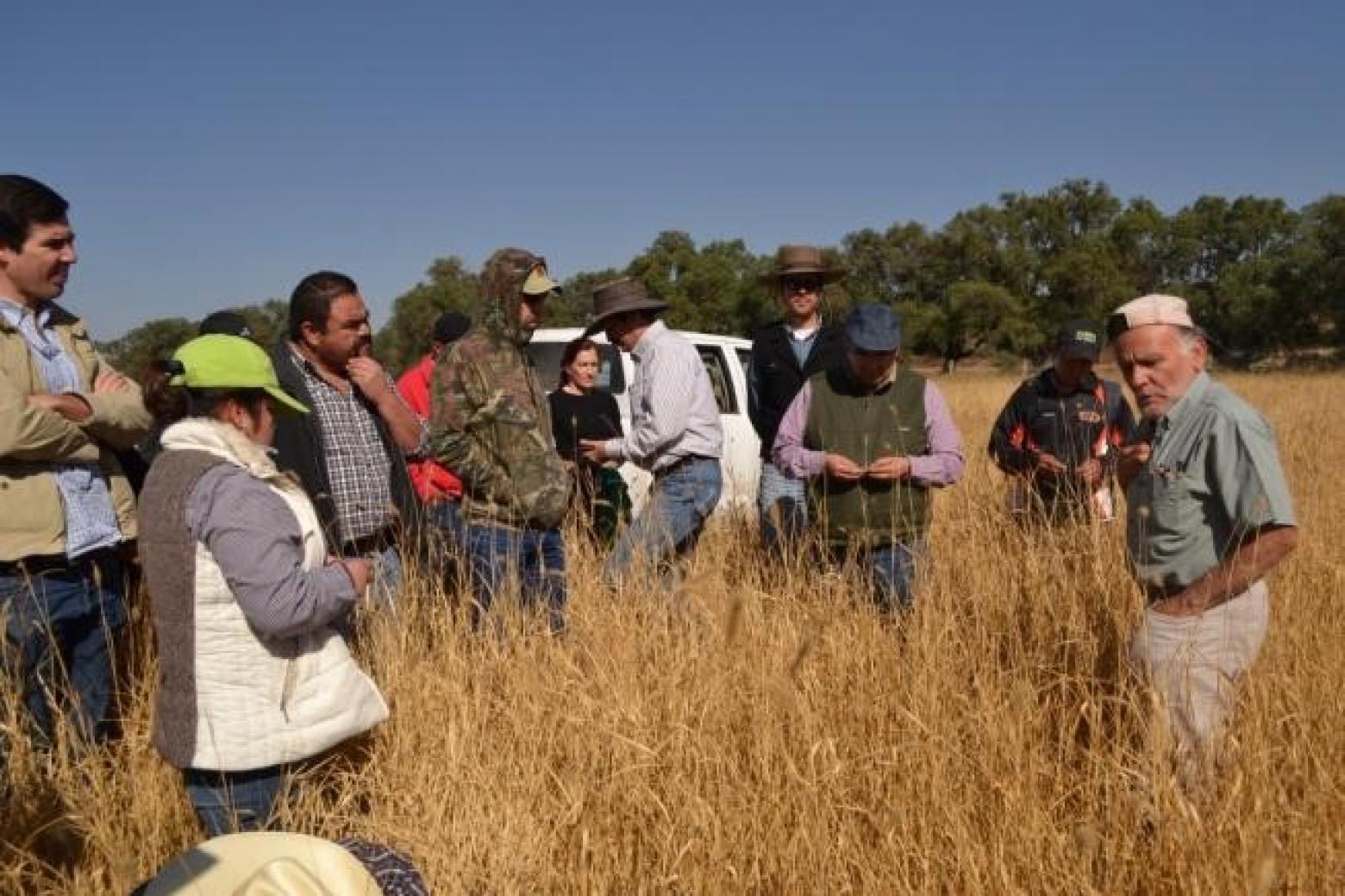 Transformation of rural society, regeneration and valorization of ...